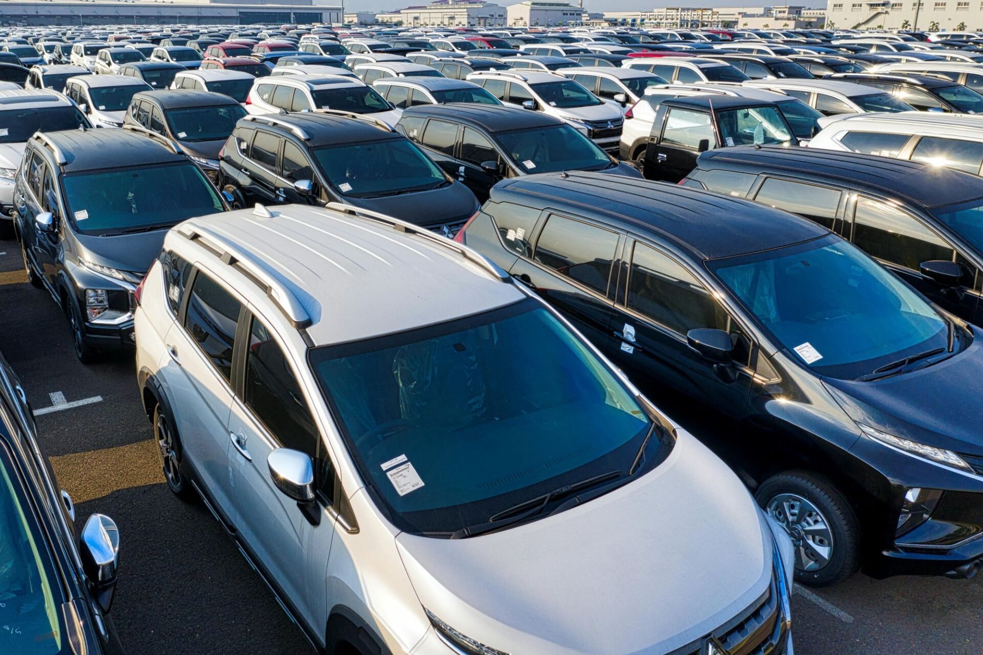 SUV-urile continuă să domine piața auto din România | Auto | iAM SPORT